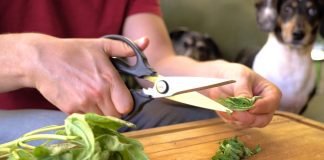 Girl Cooks World - Global Cuisine, Cooking Tips, Must-haves & Ideas